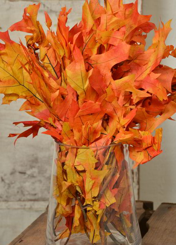 dried oak leaf branches
