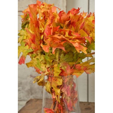 Preserved Autumn Oak Leaves, 1LB Decorative, Pressed, Dried Leaves