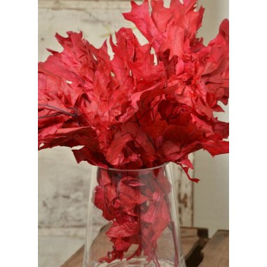 Preserved Autumn Oak Leaves, 1LB Decorative, Pressed, Dried Leaves
