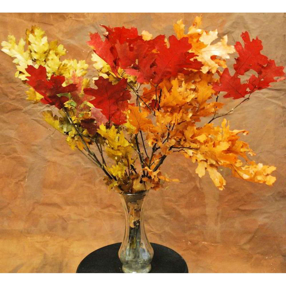 Dried Fall Leaves on Branches - Preserved Fall Leaf Boughs