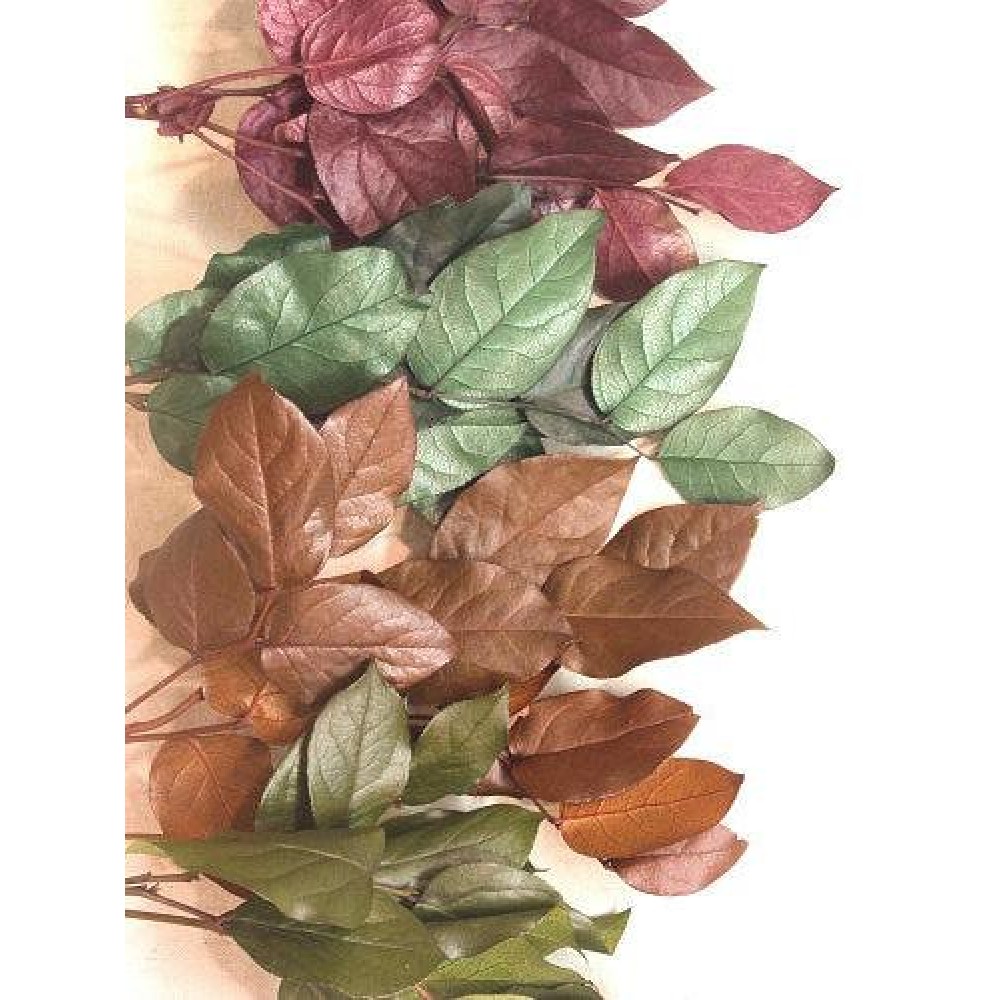 Dried Lemon Leaf - Dried Salal Plant Leaves