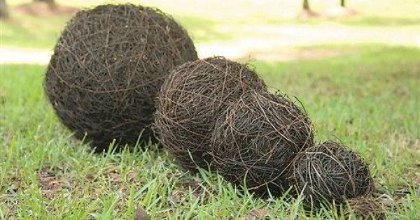 Vine Balls | Angel Vine Balls | Curious Country Creations