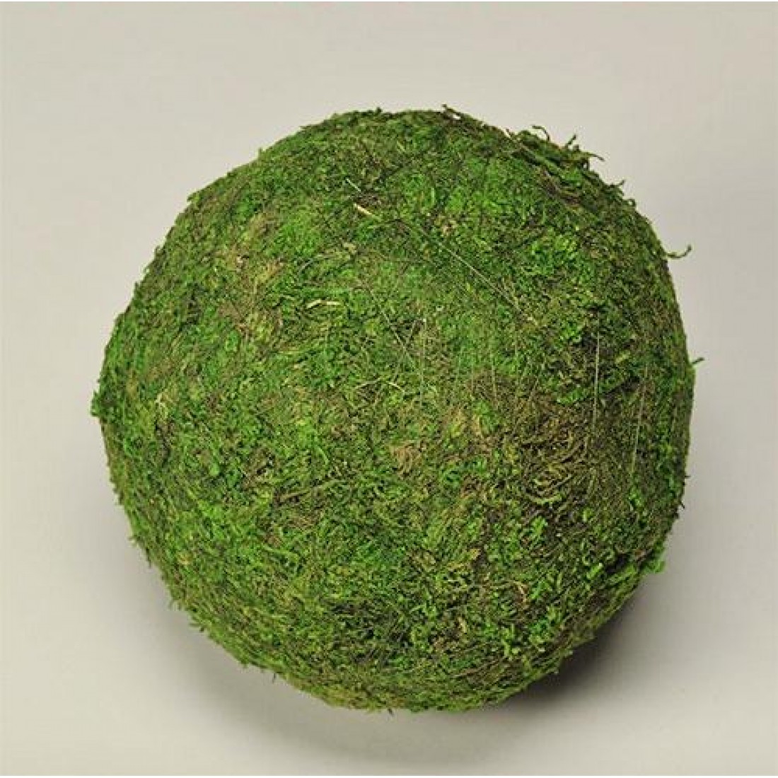 Decorative Moss Balls | Moss Balls for Sale | Sheet Moss Balls