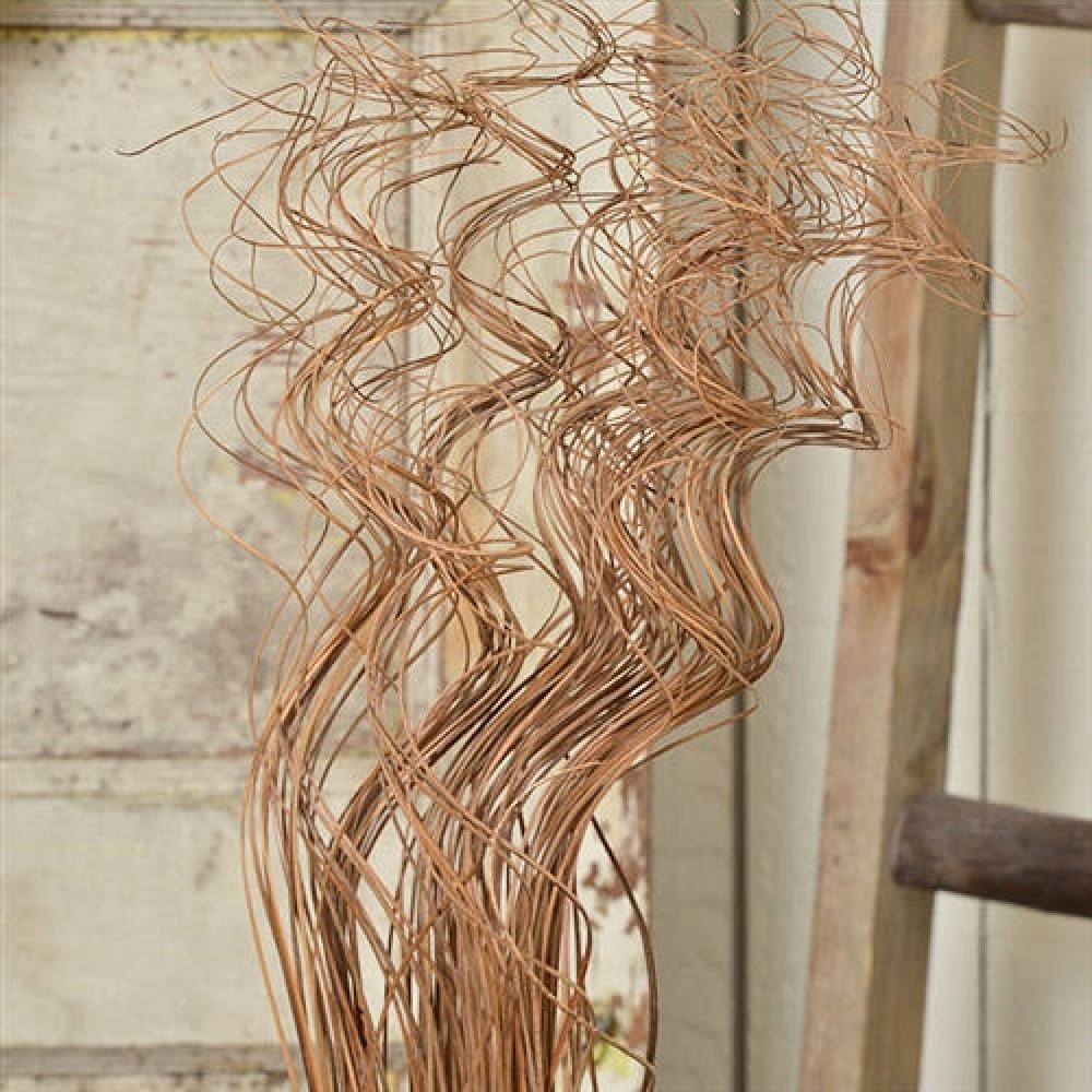 Dried Natural Curly Ting Ting Branches