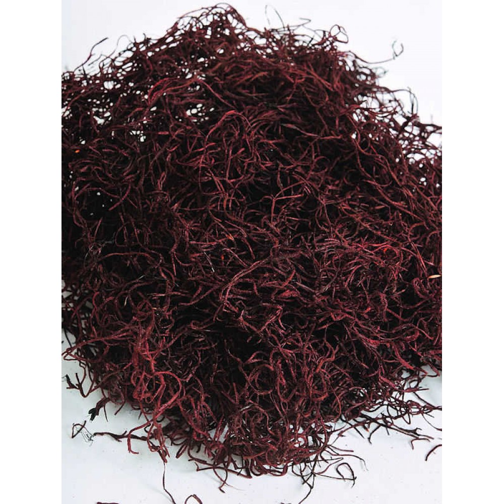 Dried Spanish Moss - Dried Spanish Moss 1lb bag