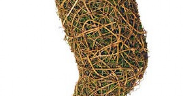 Large Moss Container - 37 inches