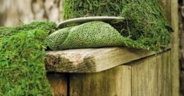 Dried Moss Ribbon - Natural Moss Roll