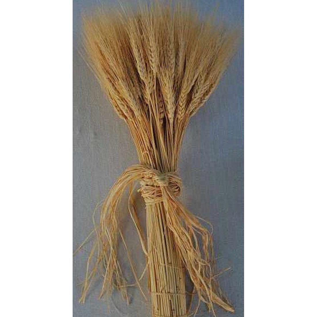 Dried Wheat Bunches