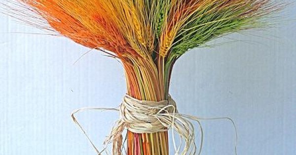 Dyed Wheat Stack (2lb)