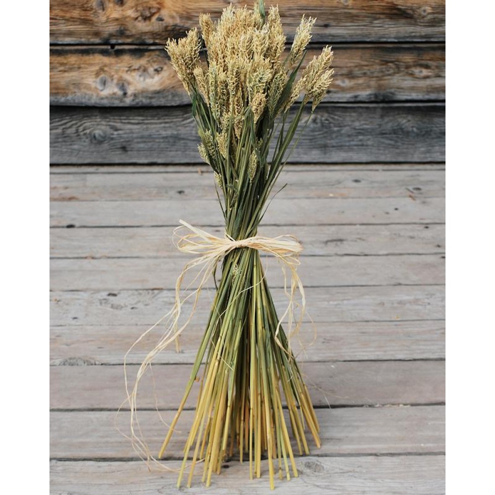 Hooked Barley Bunches - Barley Bunches