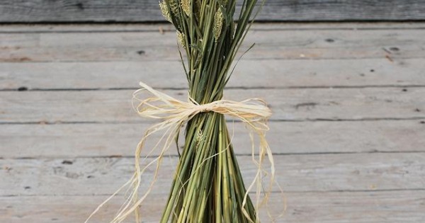 Hooked Barley Bunches - Barley Bunches