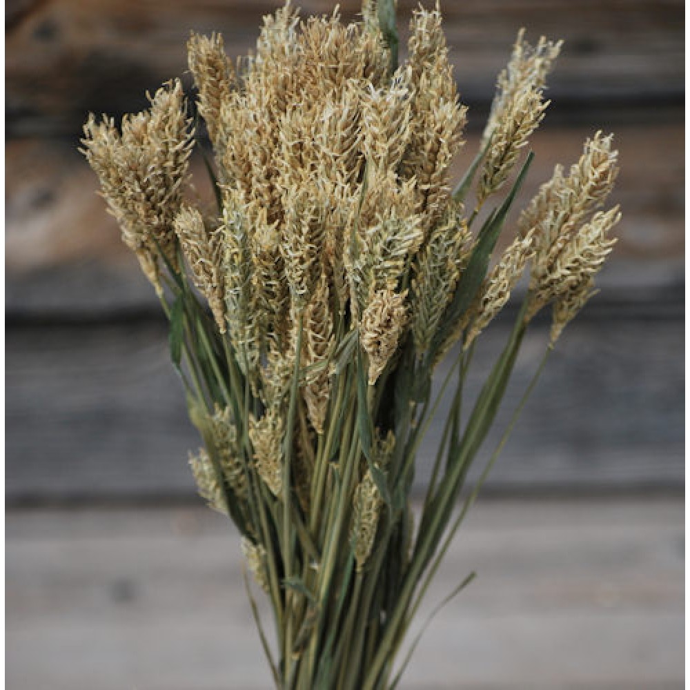 Hooked Barley Bunches - Barley Bunches