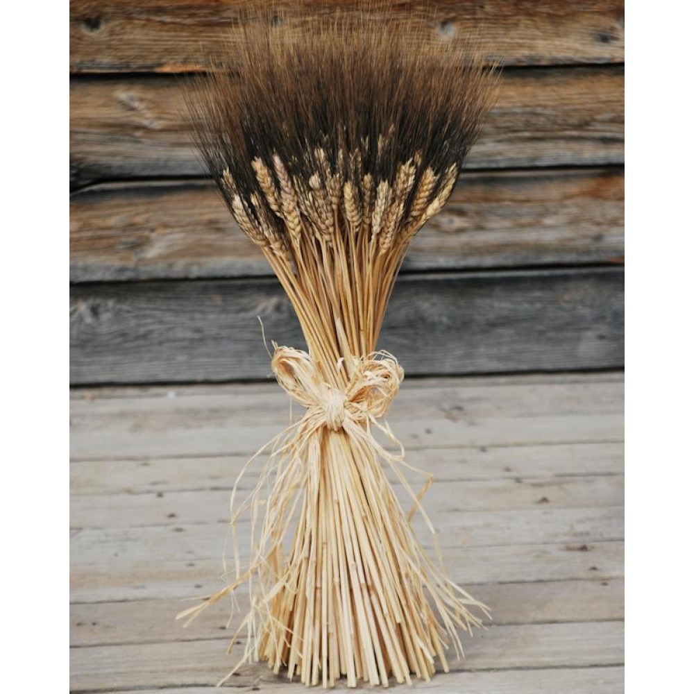Large Dried Blackbeard Wheat Bunch, Wheat Sheaves