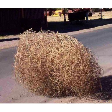 Tumbleweed Snowman (tumble weed)