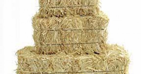 Mini Hay Bales - 10 inch miniature straw bales