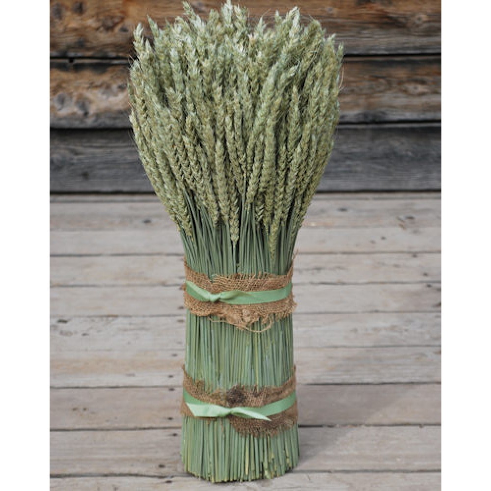 Vertical Beardless Wheat Bundle - Large Wheat Sheave