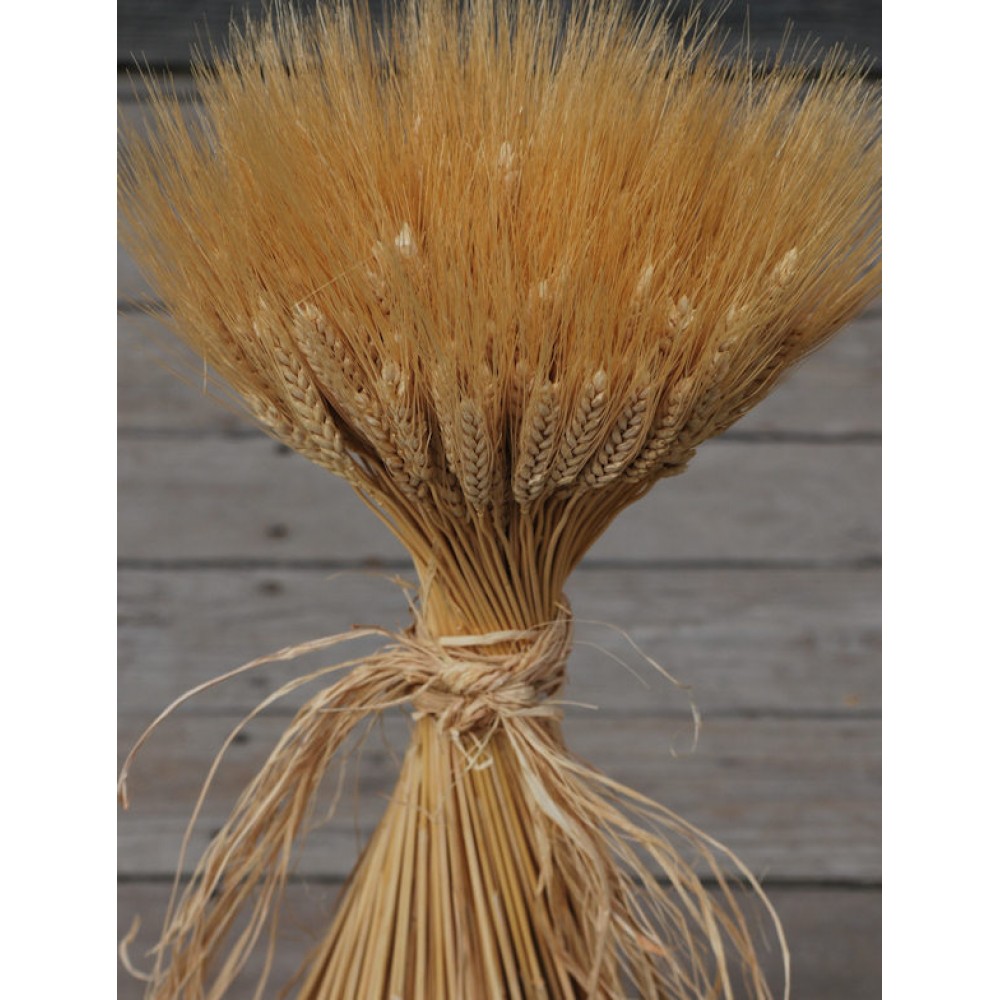 Large Dried Wheat Bunches (Bundles Wedding Centerpieces 1LB)