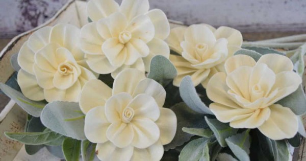 Sola Wood Flowers | Wood Flowers | Shola Wood Flower