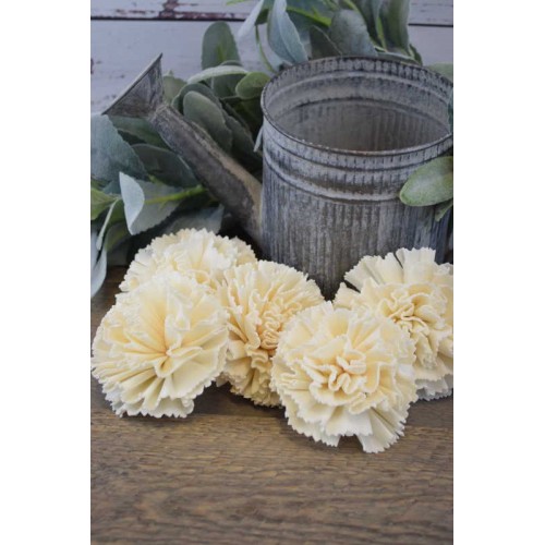 Sola Wood Flowers | Wood Flowers | Shola Wood Flower