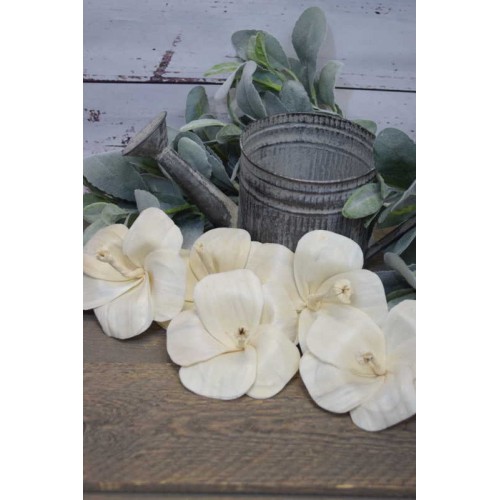 Sola Wood Flowers | Wood Flowers | Shola Wood Flower