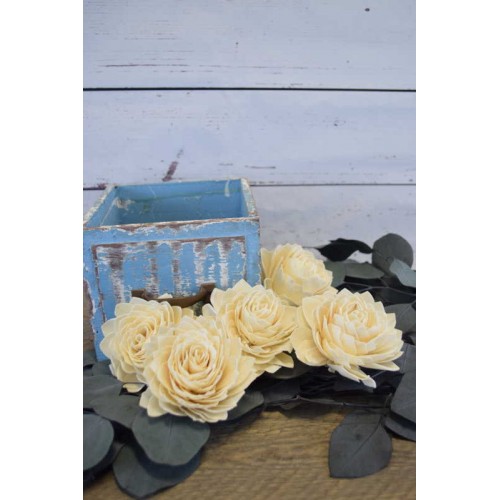 Sola Wood Flowers | Wood Flowers | Shola Wood Flower