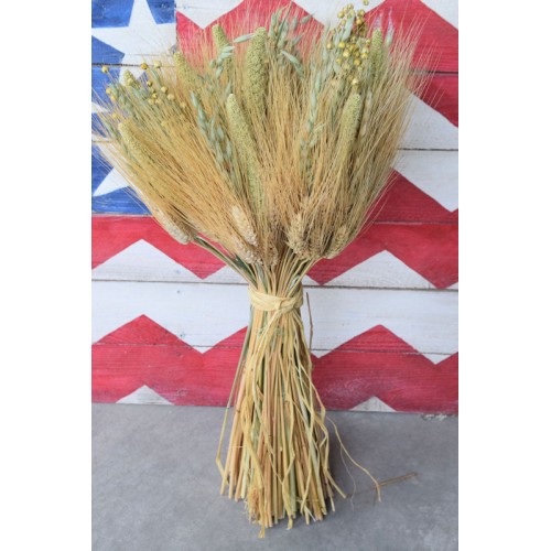 Dried Wheat, Decorative Wedding Wheat, Dry Wheat