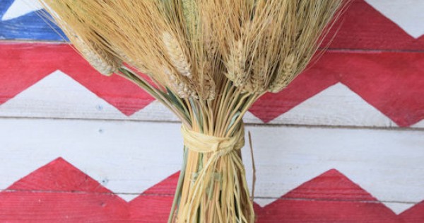 Mixed Grain Wheat Bundle - Martha Stewart fall wheat bundle