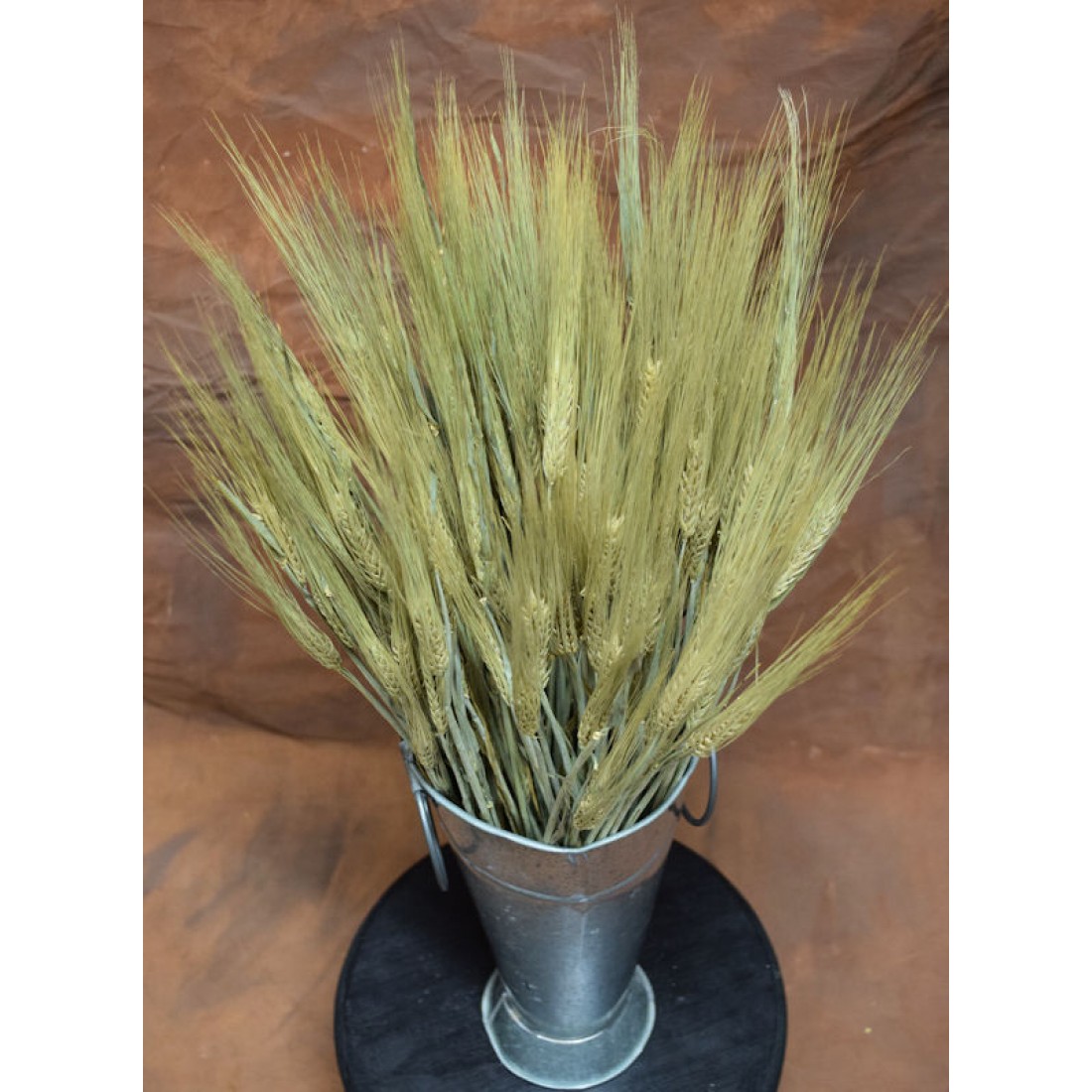 Dried Barley | Barley Decorations | Curious Country Creations