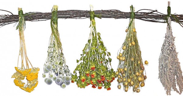 Garden Herb Decorative Wheat Swag