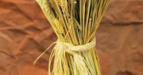 Mixed Grain Wheat Bundle