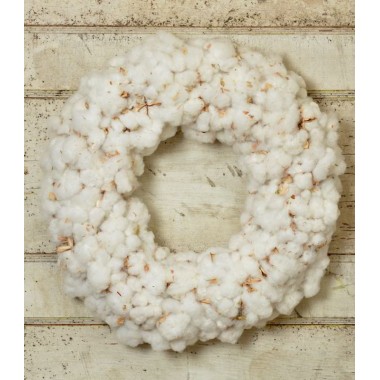 Dried Cotton Stalks