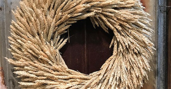 Dried Rye Wreath - 22 inch natural