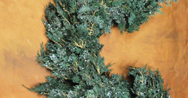 Preserved Juniper Garland - 6 feet
