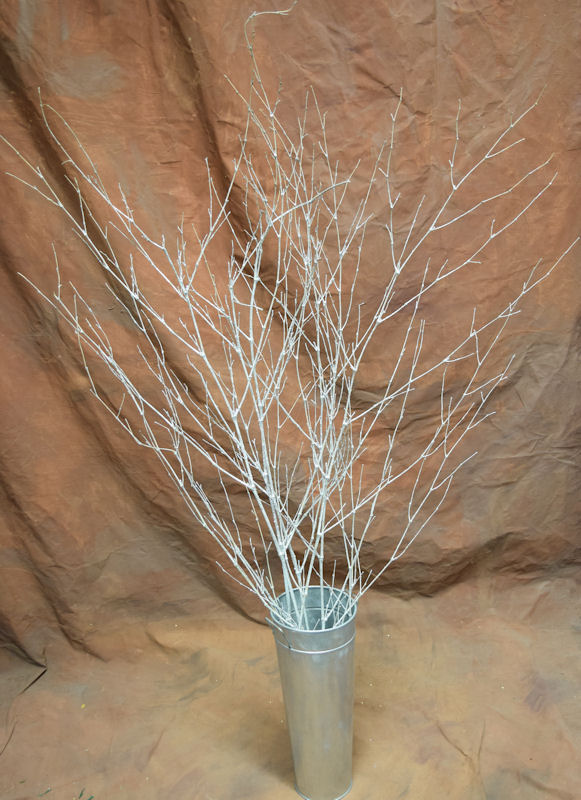 Best Branches for Winter Decorating